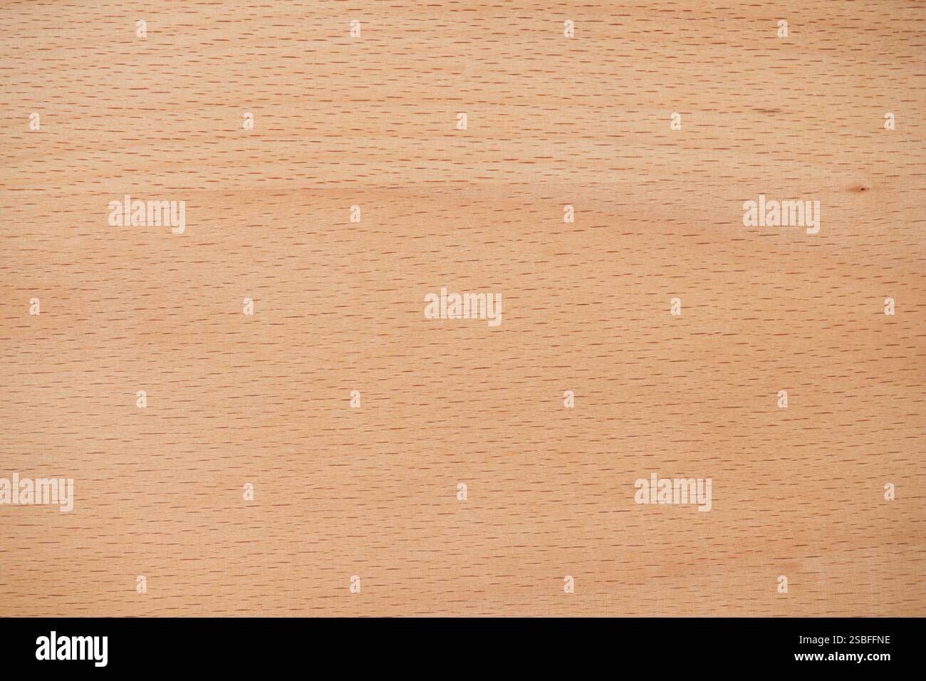 Beech pattern texture. Texture of natural beech finished board, noble ...