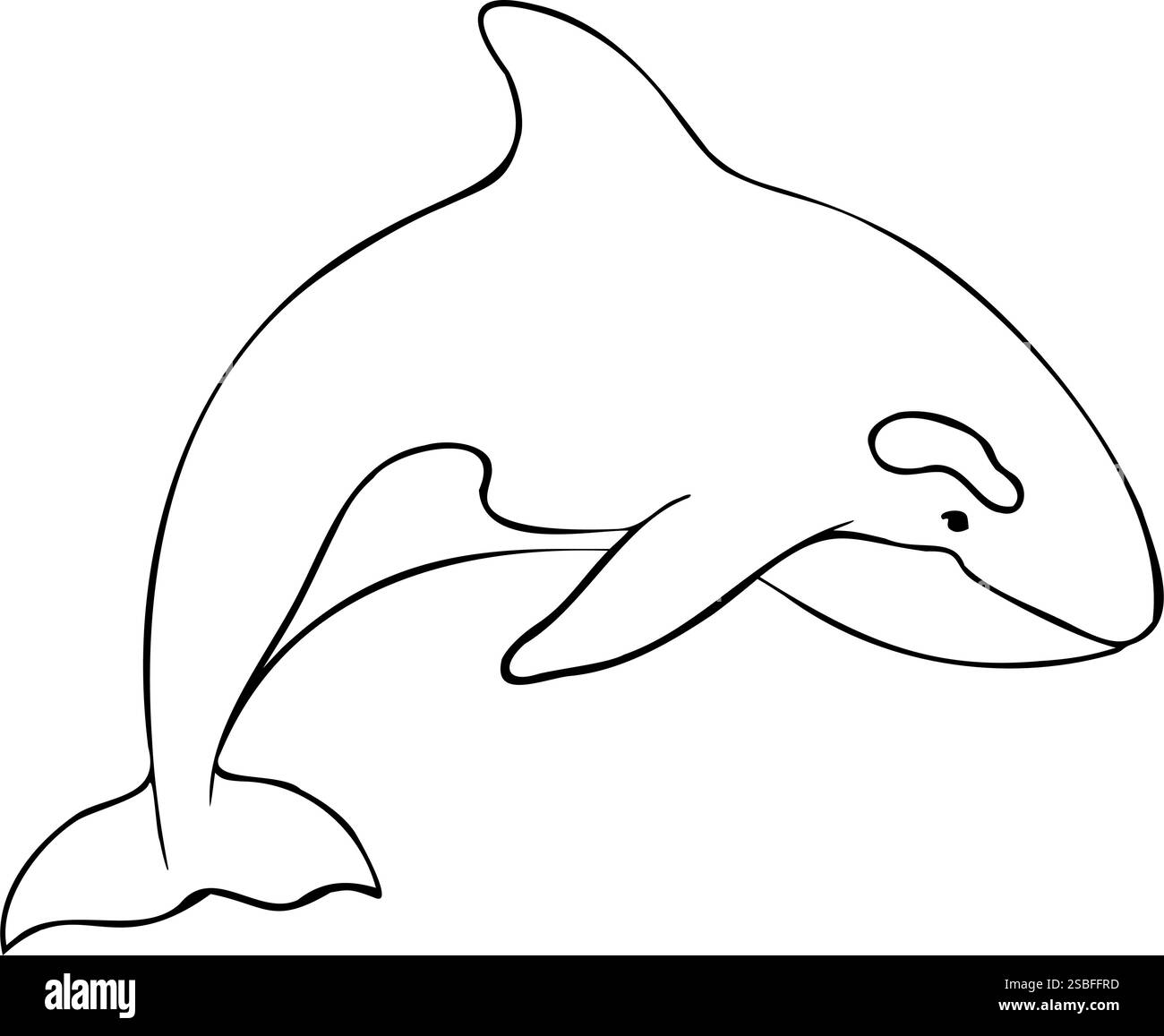 Vector contour of Killer whale or Orcinus orca. Linear Wild inhabitants of the seas and oceans ...