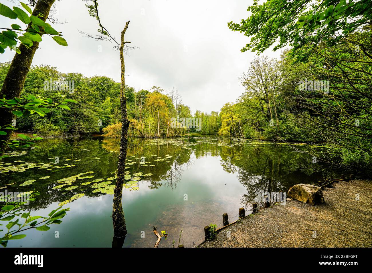 Hexenteich near Menden. Idyllic small pond with green nature in the ...