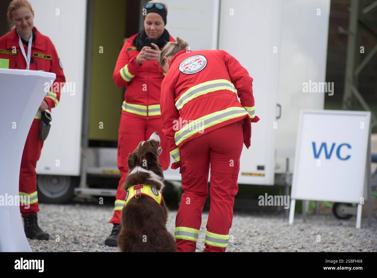 dogs are used in a dog brigade to interact with humans a dog brigade ...