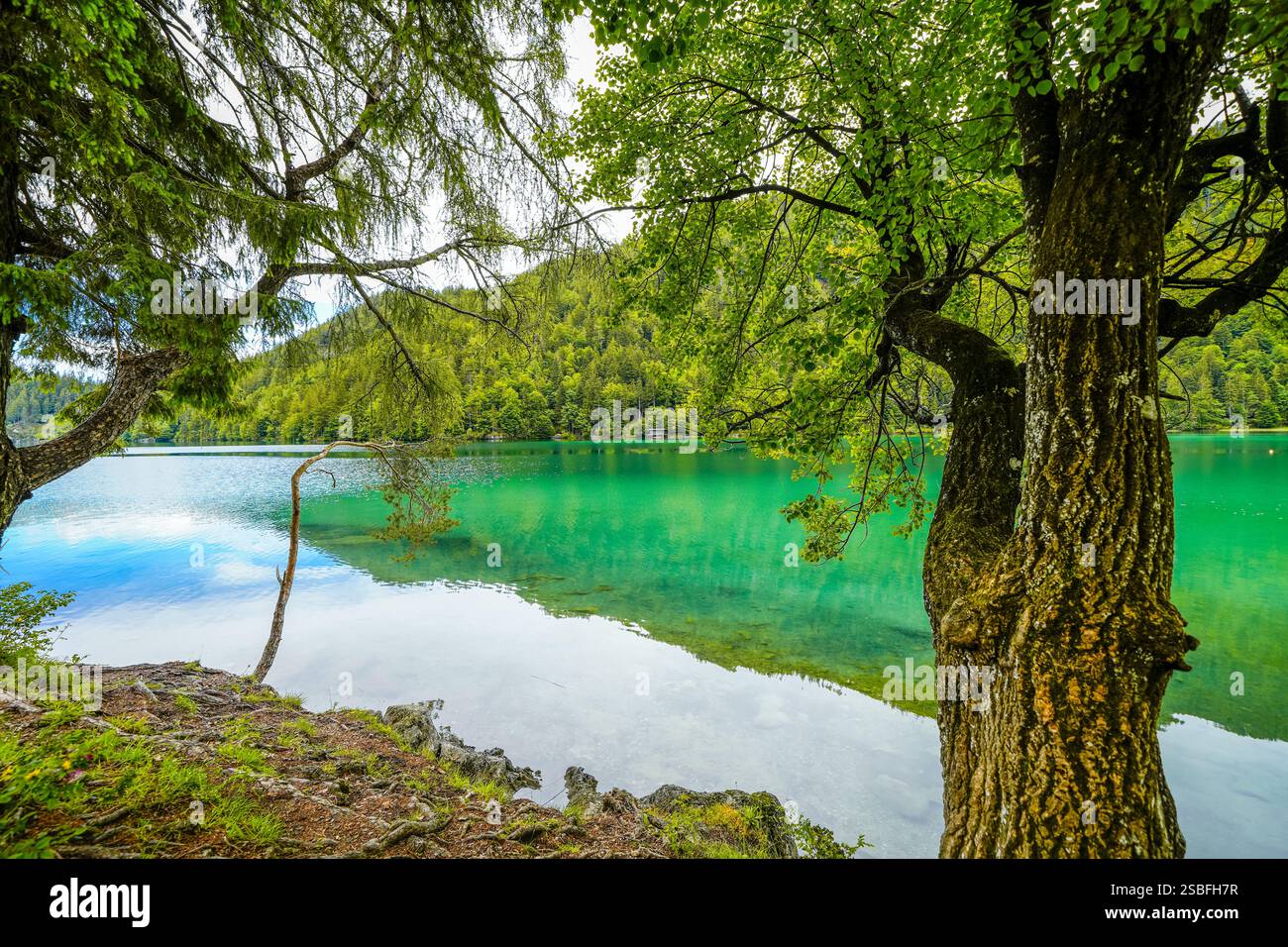 Landscape at Hintersteiner See near Scheffau in Tyrol. Idyllic nature ...