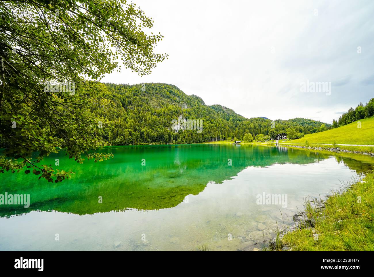 Landscape at Hintersteiner See near Scheffau in Tyrol. Idyllic nature at the mountain lake in ...