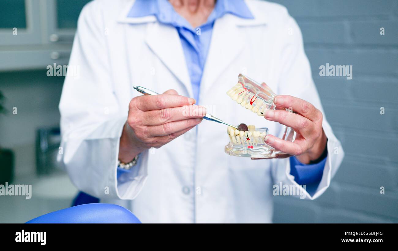 Close-Up of Dentist Demonstrating Dental Health Concepts Using a Teeth ...