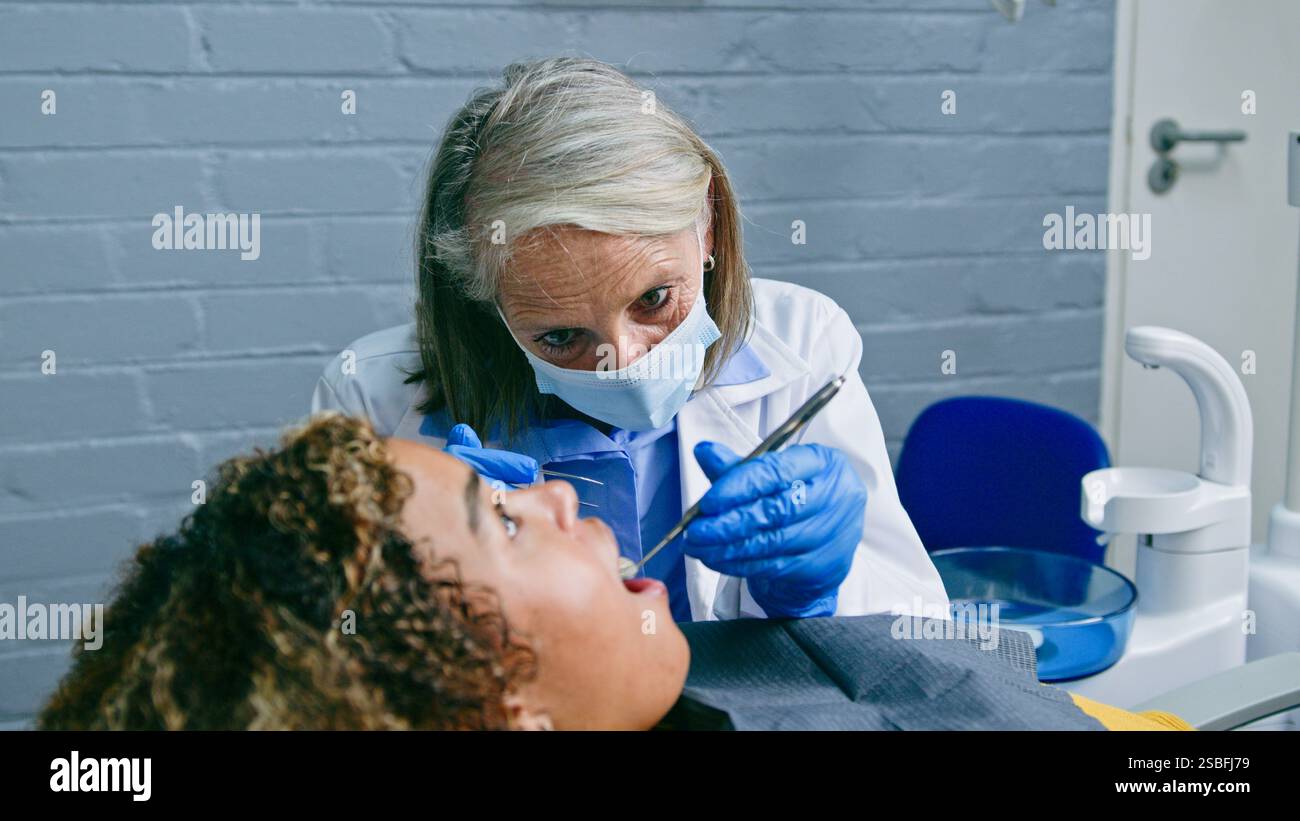 Female Dentist Examining a Patient in a Modern Dental Office ...