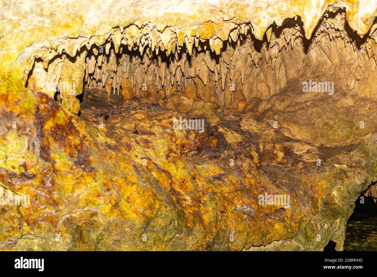 Beautiful Cenote Park Yaxmulito with amazing limestone rocks rock ...