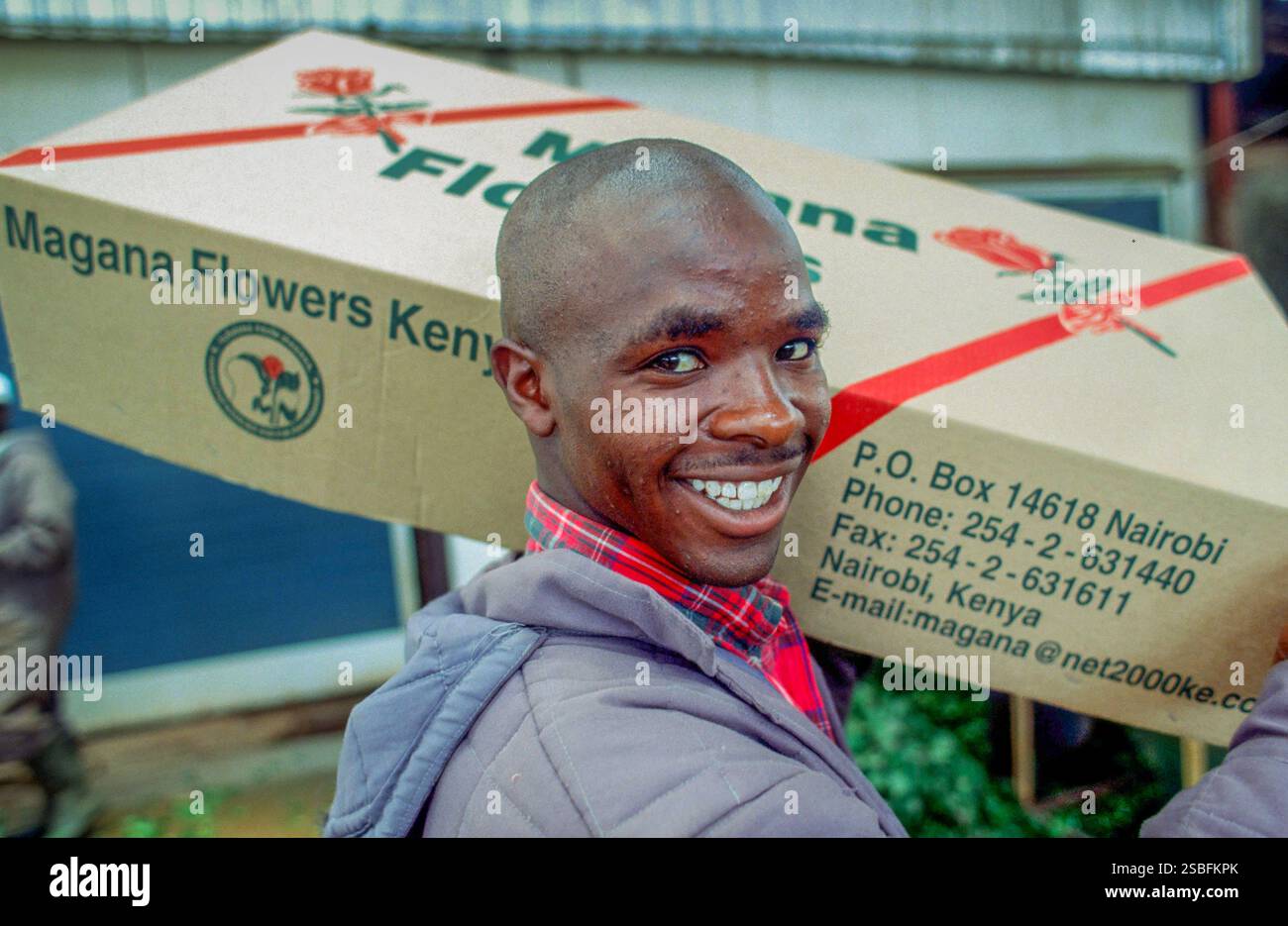 Kenya, Rift Valley, Naivasha - At a Dutch grower,Sher-Holland, the ...