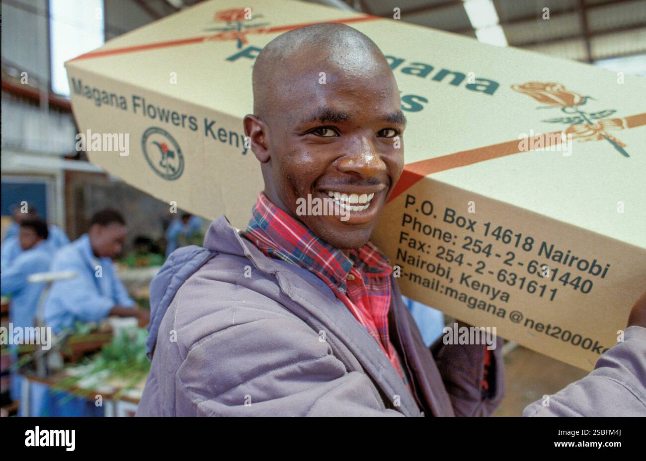 Kenya, Rift Valley, Naivasha - At a Dutch grower,Sher-Holland, the ...