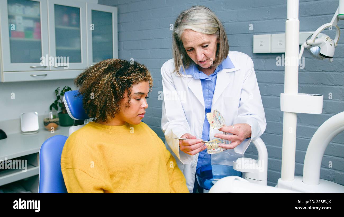 Dentist Explaining Dental Hygiene to a Patient in a Modern Clinical ...