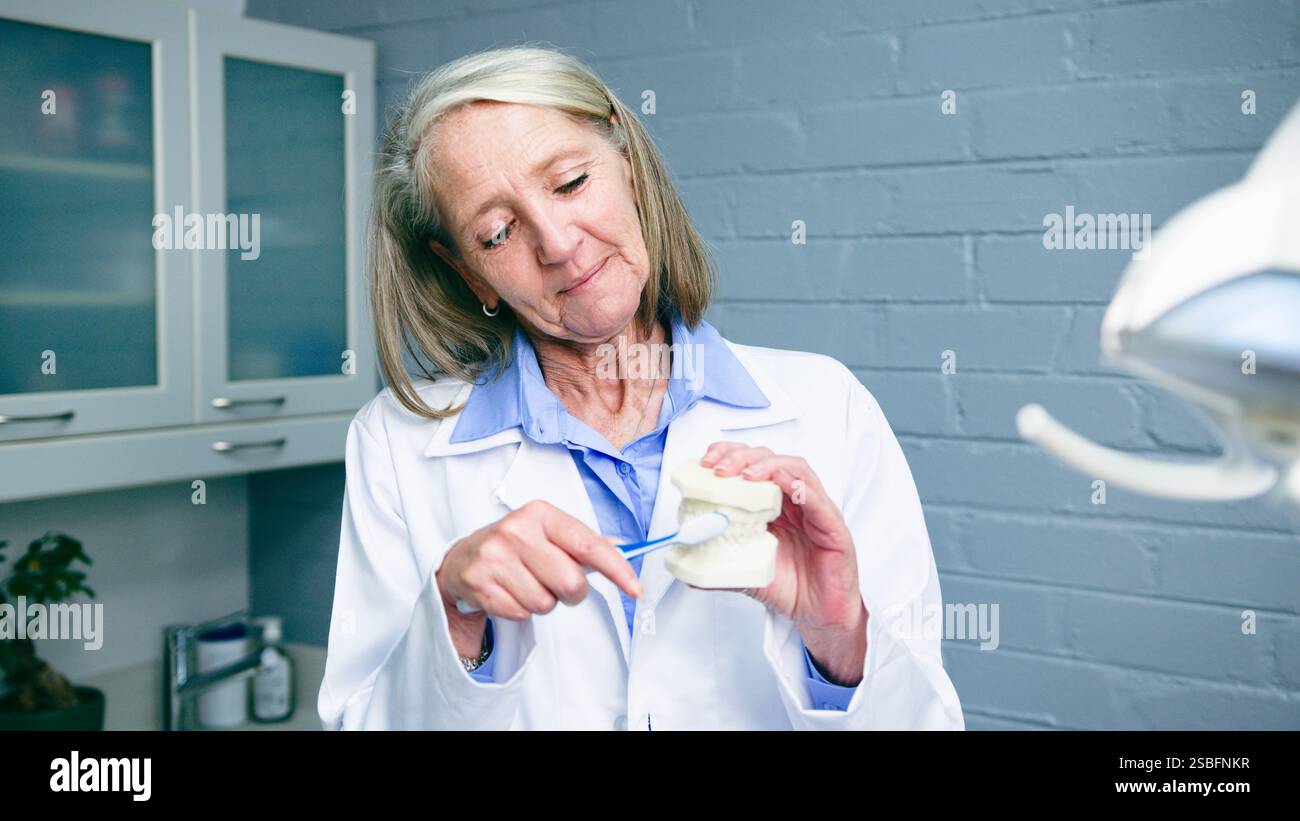 Professional Dentist Demonstrating Proper Tooth Brushing on a Dental ...