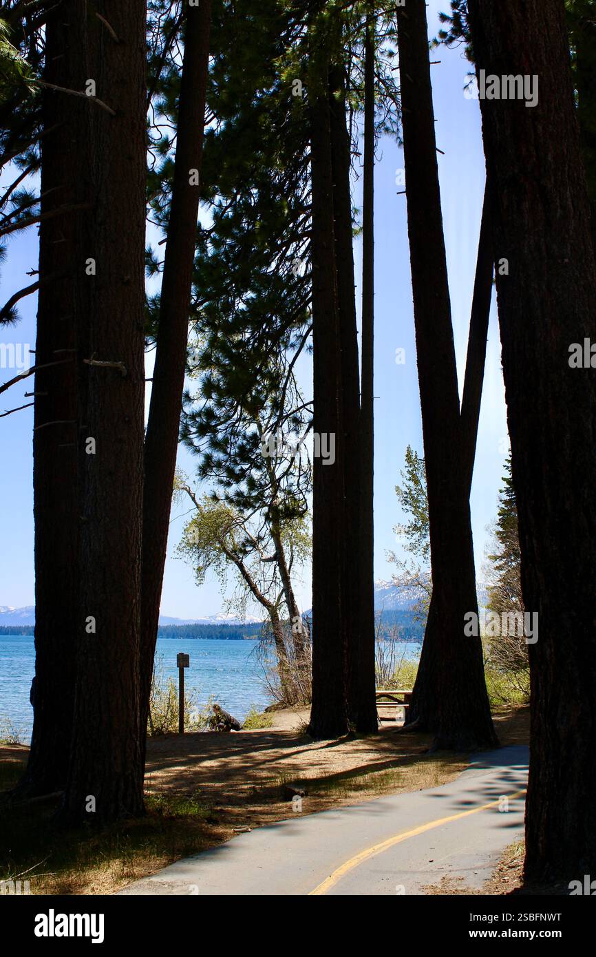 Bushes around the beach hi-res stock photography and images - Alamy