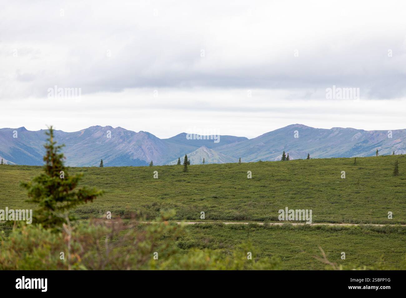 Vast terrain towering mountain hi-res stock photography and images - Alamy