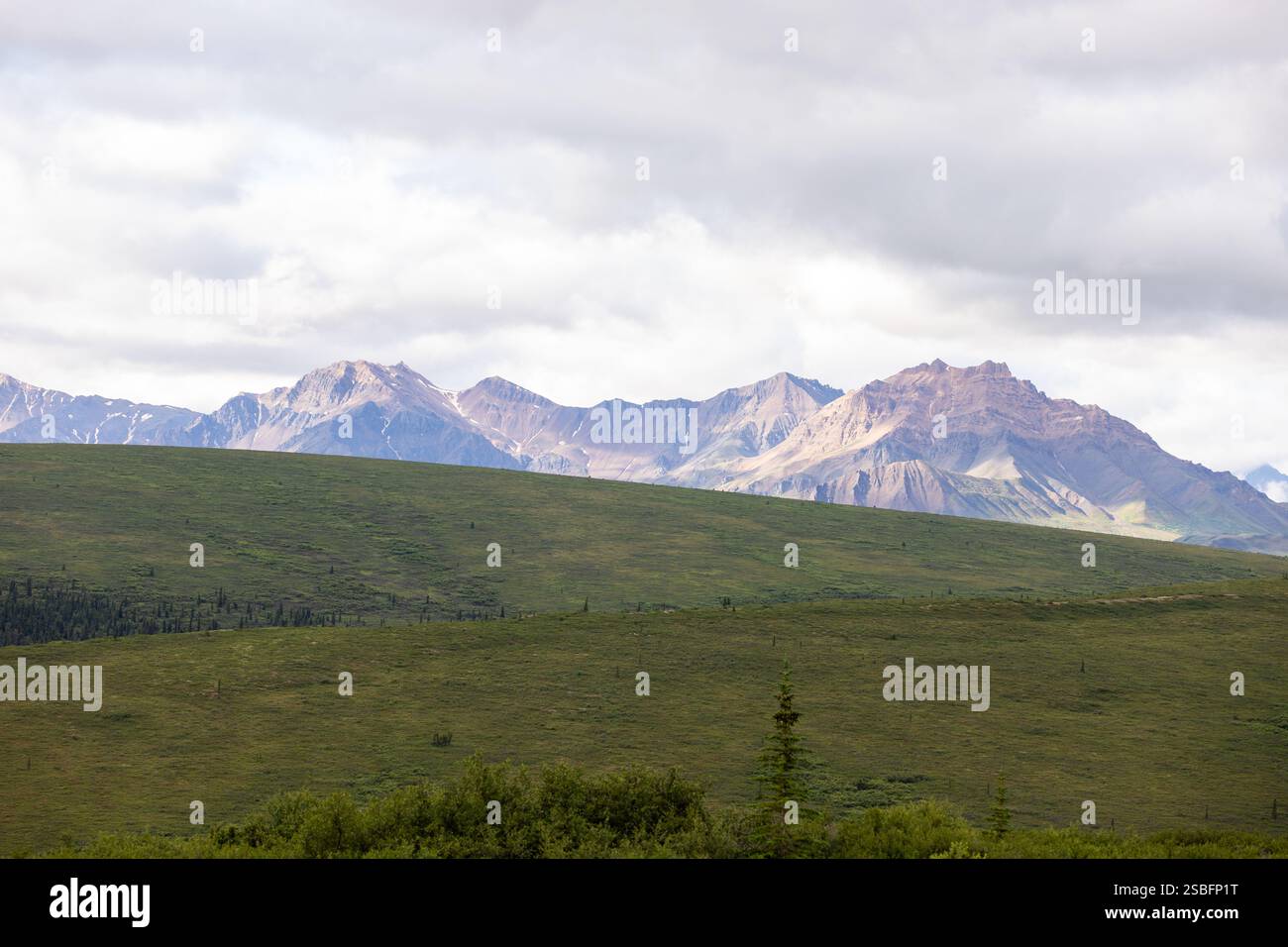 Vast terrain towering mountain hi-res stock photography and images - Alamy