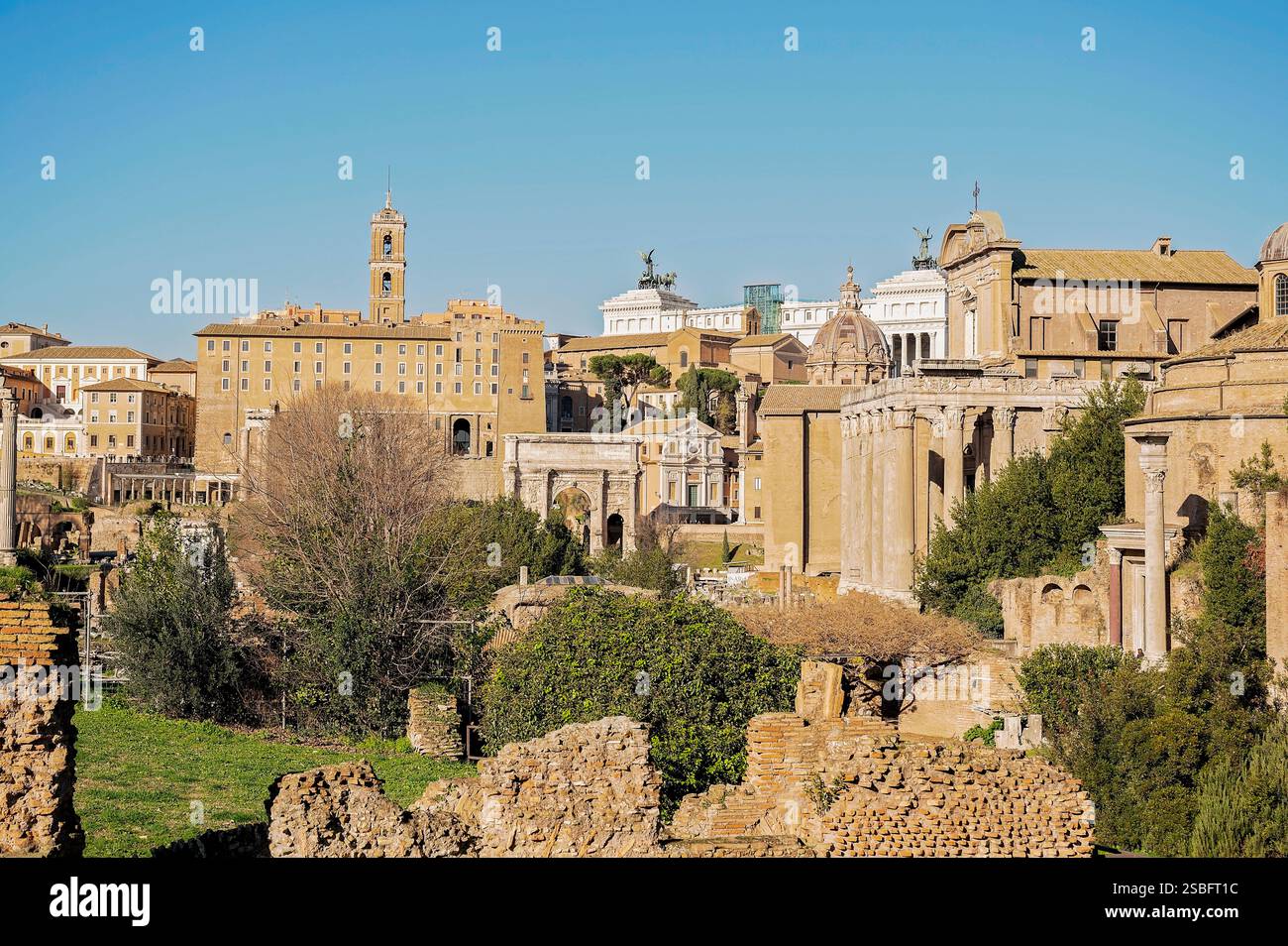 Ancient ruins and historic buildings in the Roman Forum, Rome Stock ...