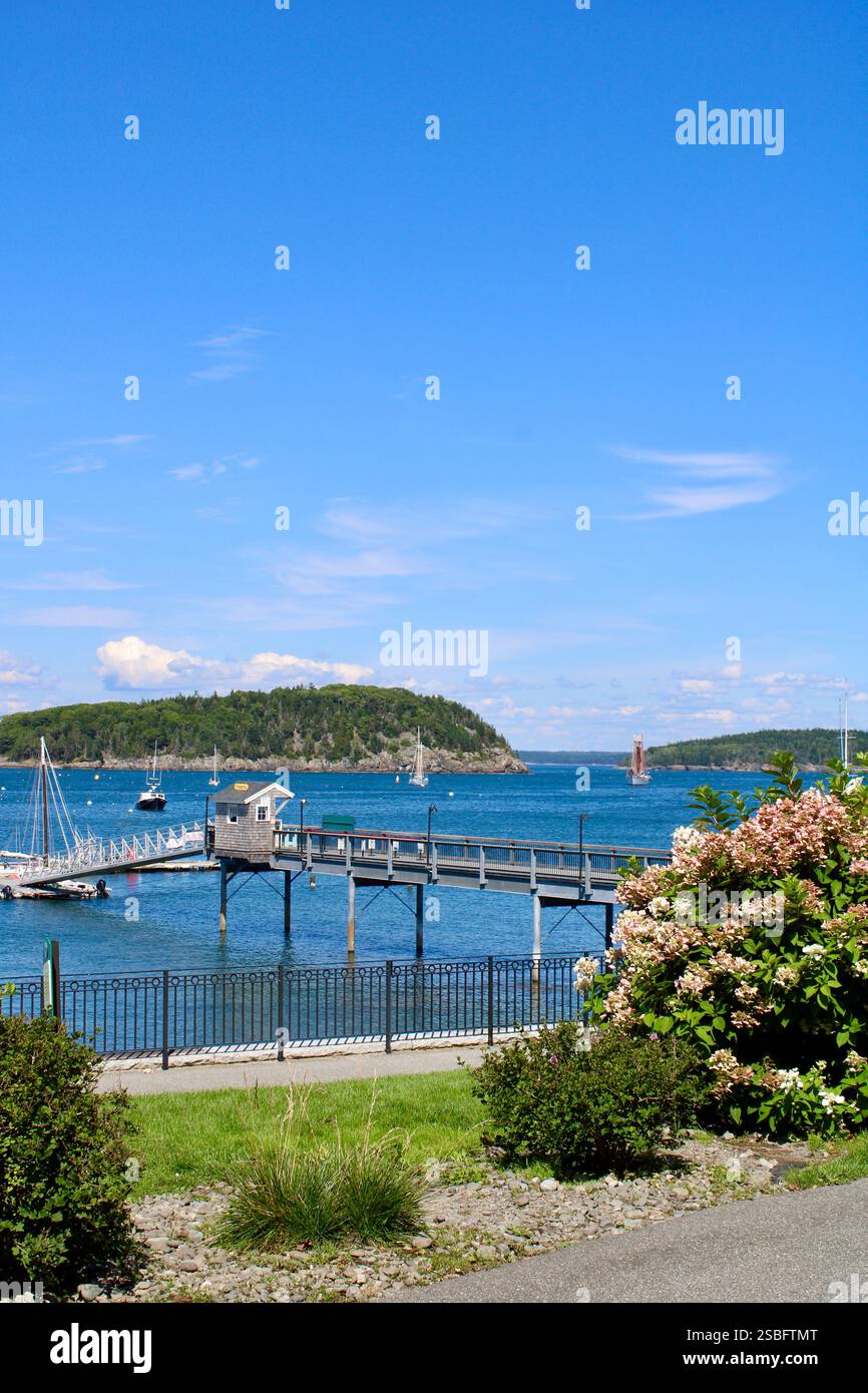 Docked at bar hi-res stock photography and images - Alamy