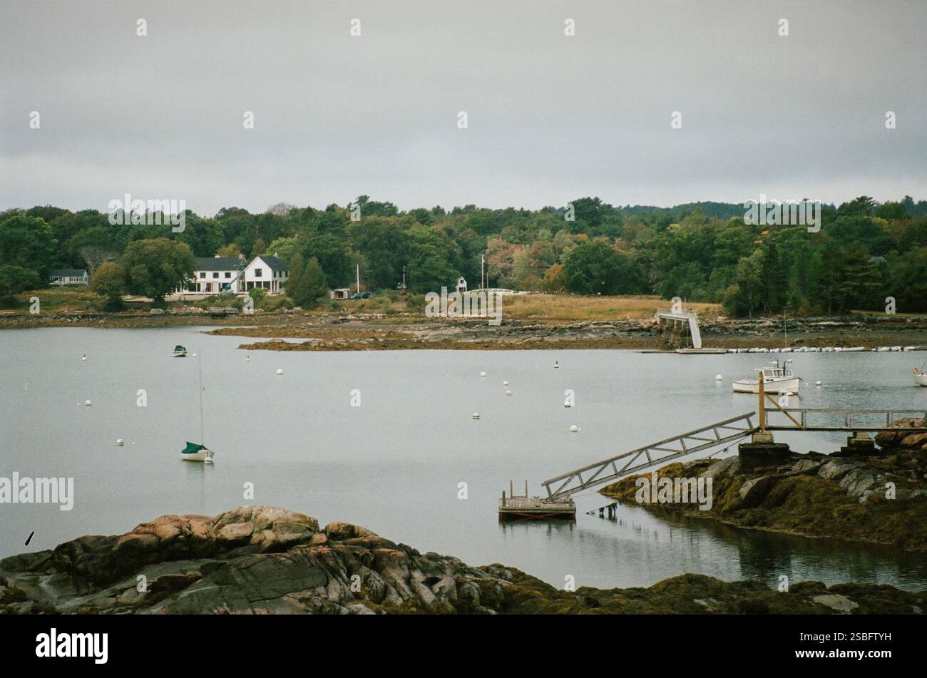 A quiet coastal inlet with boats, docks, and houses Stock Photo - Alamy