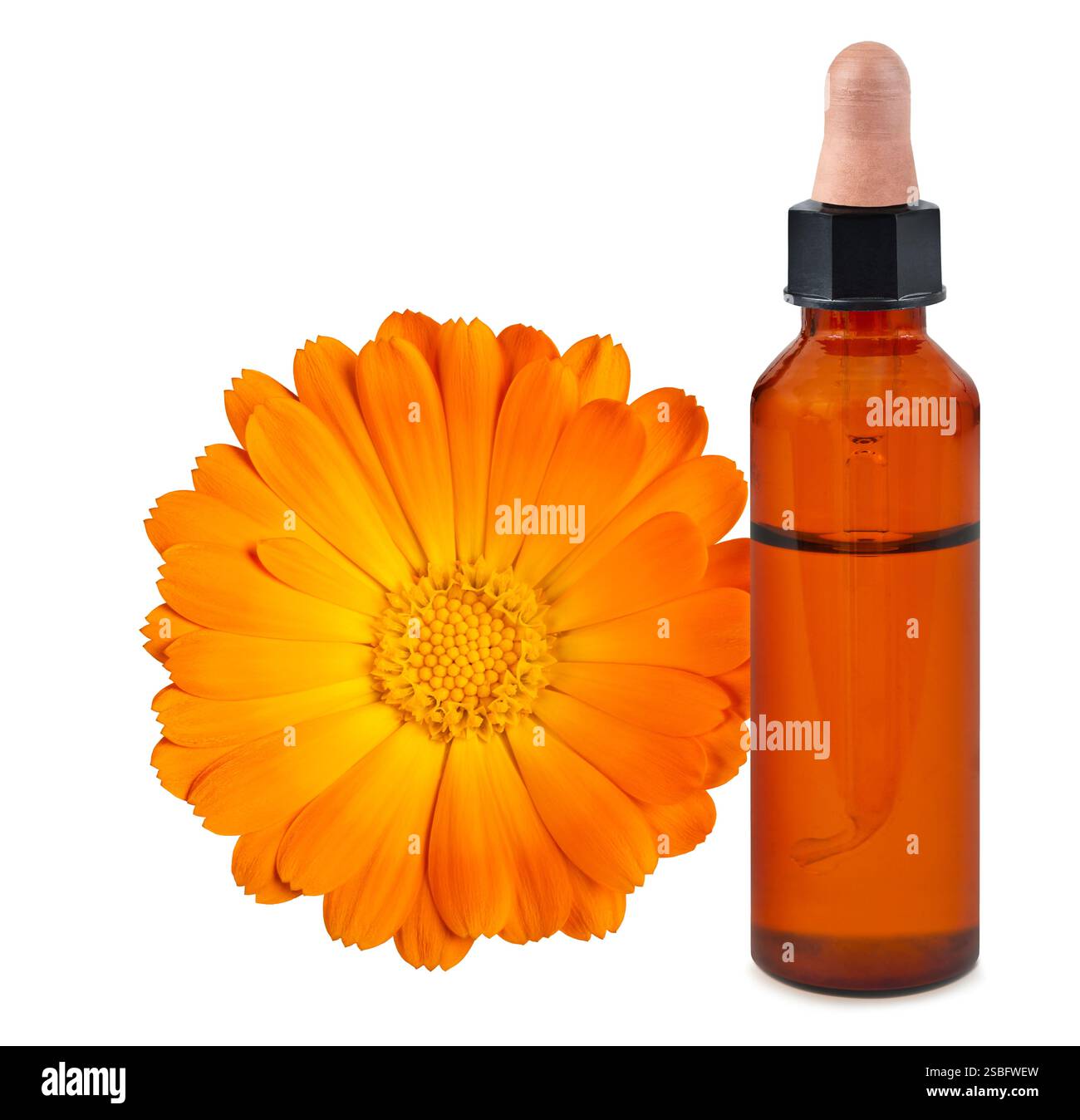 Essential oil marigold flower Cut Out Stock Images & Pictures - Alamy