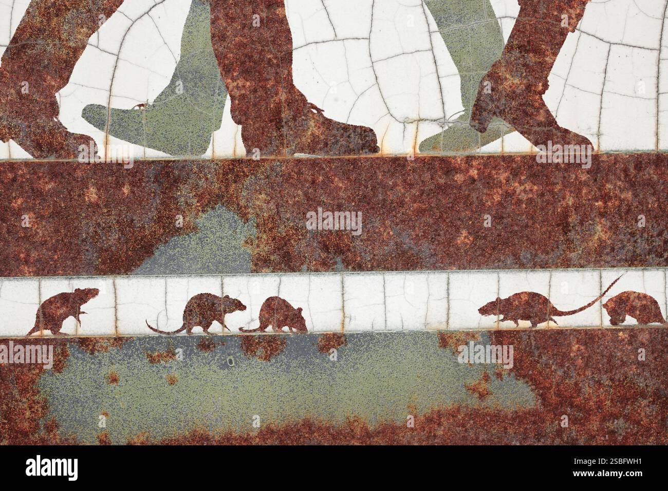 Sewer rats hi-res stock photography and images - Alamy