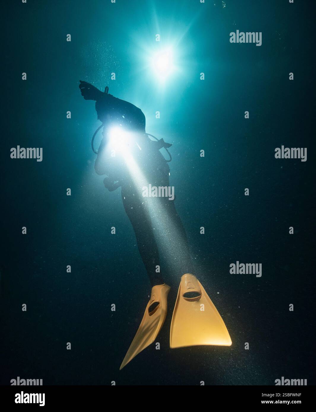diver ascending from a nightdive in the Maldives Stock Photo - Alamy