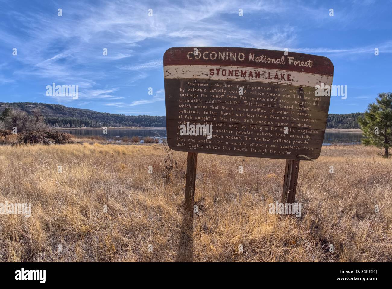 Stoneman Lake Information Sign in Coconino National Forest Stock Photo ...