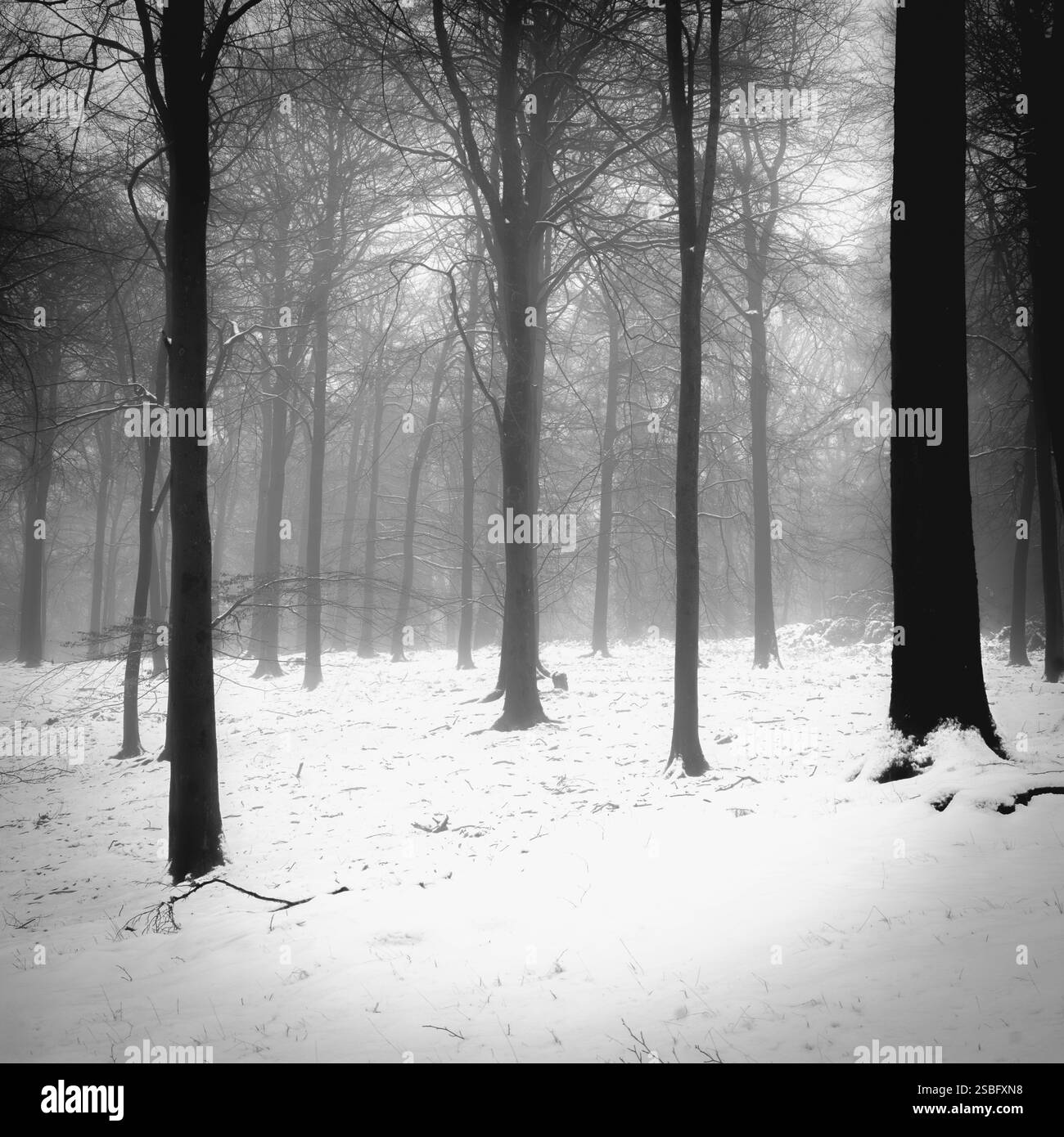 Beautiful winter scenic snowy Black and White Stock Photos & Images - Alamy