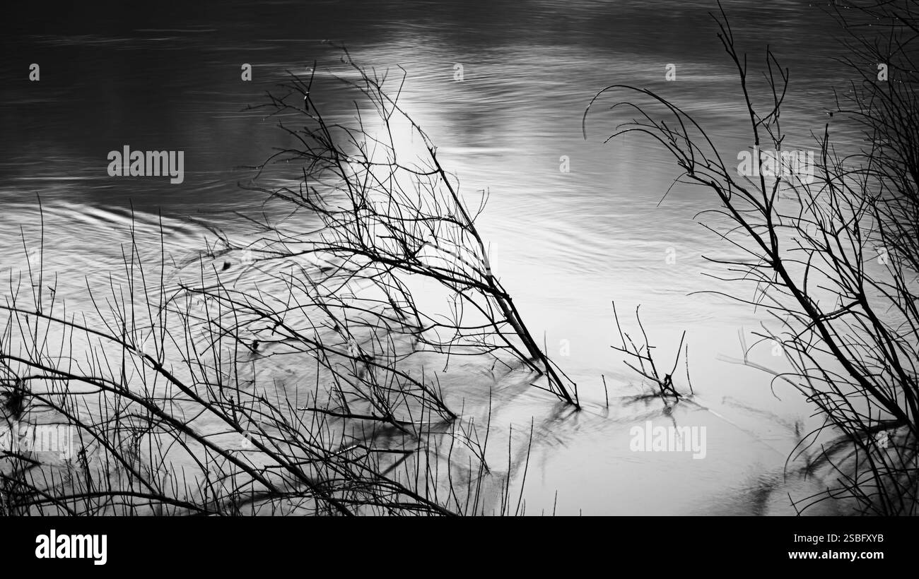 Long exposure picture of small trees submerged in a river during a ...