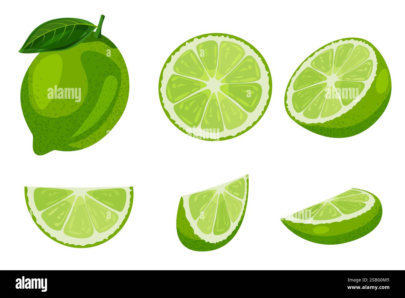 Ripe lime whole and sliced set isolated on white background. Vector flat cartoon illustration ...