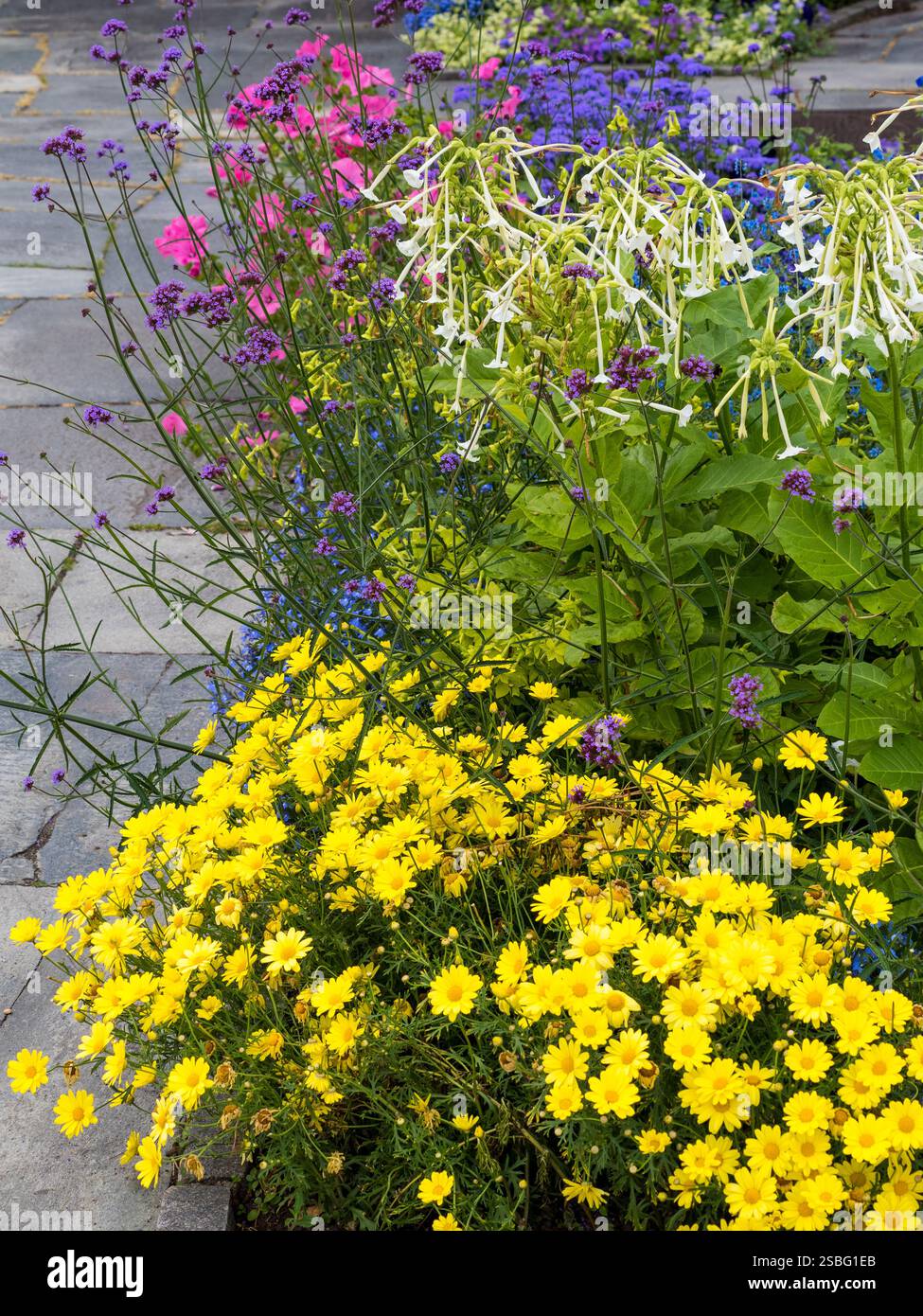 Flowers, Vigeland Sculpture Park, Oslo, Norway Stock Photo - Alamy
