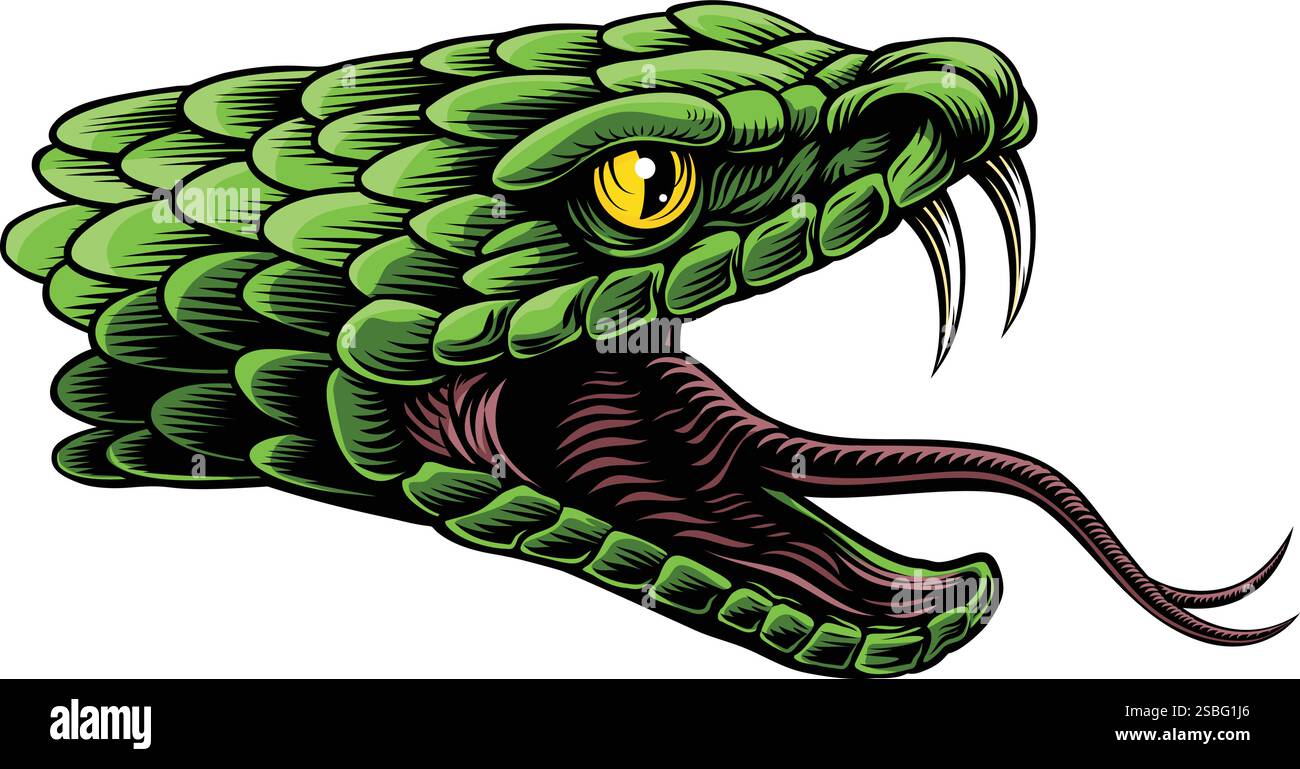 Snake Head Woodcut Vintage Etched Woodcut Style Stock Vector Image ...