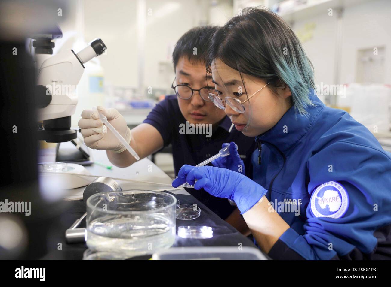 Aboard Xuelong 2. 3rd Feb, 2025. Members of China's 41st Antarctic ...