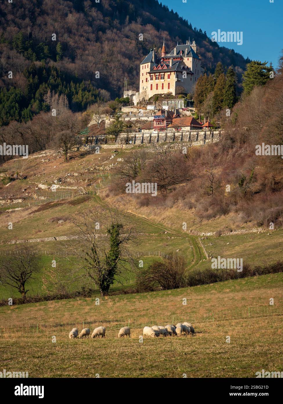 Medieval castle “Château de Menthon-Saint-Bernard” (central-eastern ...