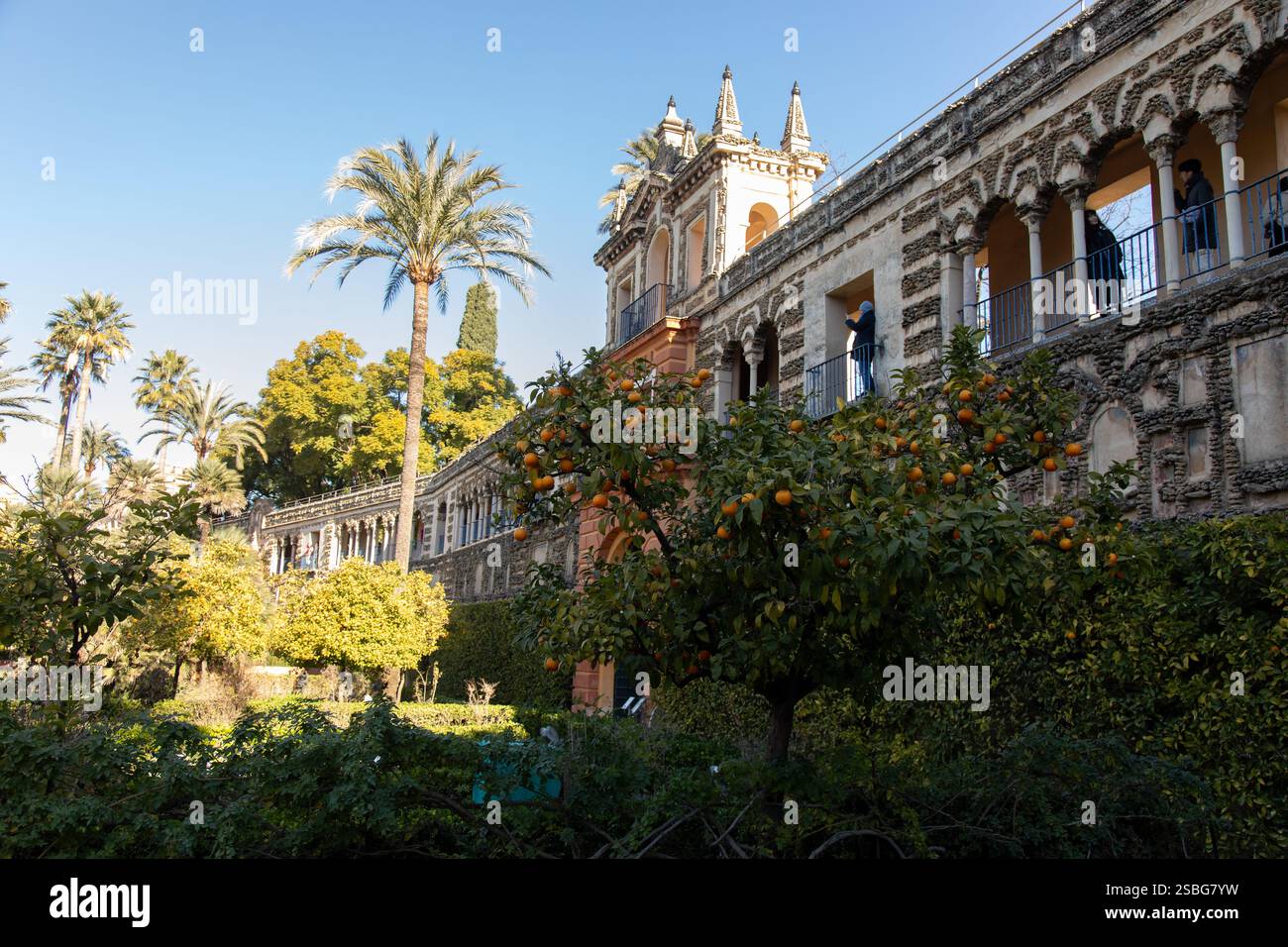 Seville, Andalucia, Spain - 02-01-2025: Real Alcázar of Seville, royal ...