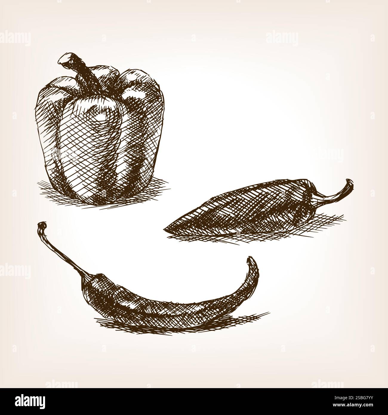 Peppers hand drawn sketch style vector Stock Vector Image & Art - Alamy