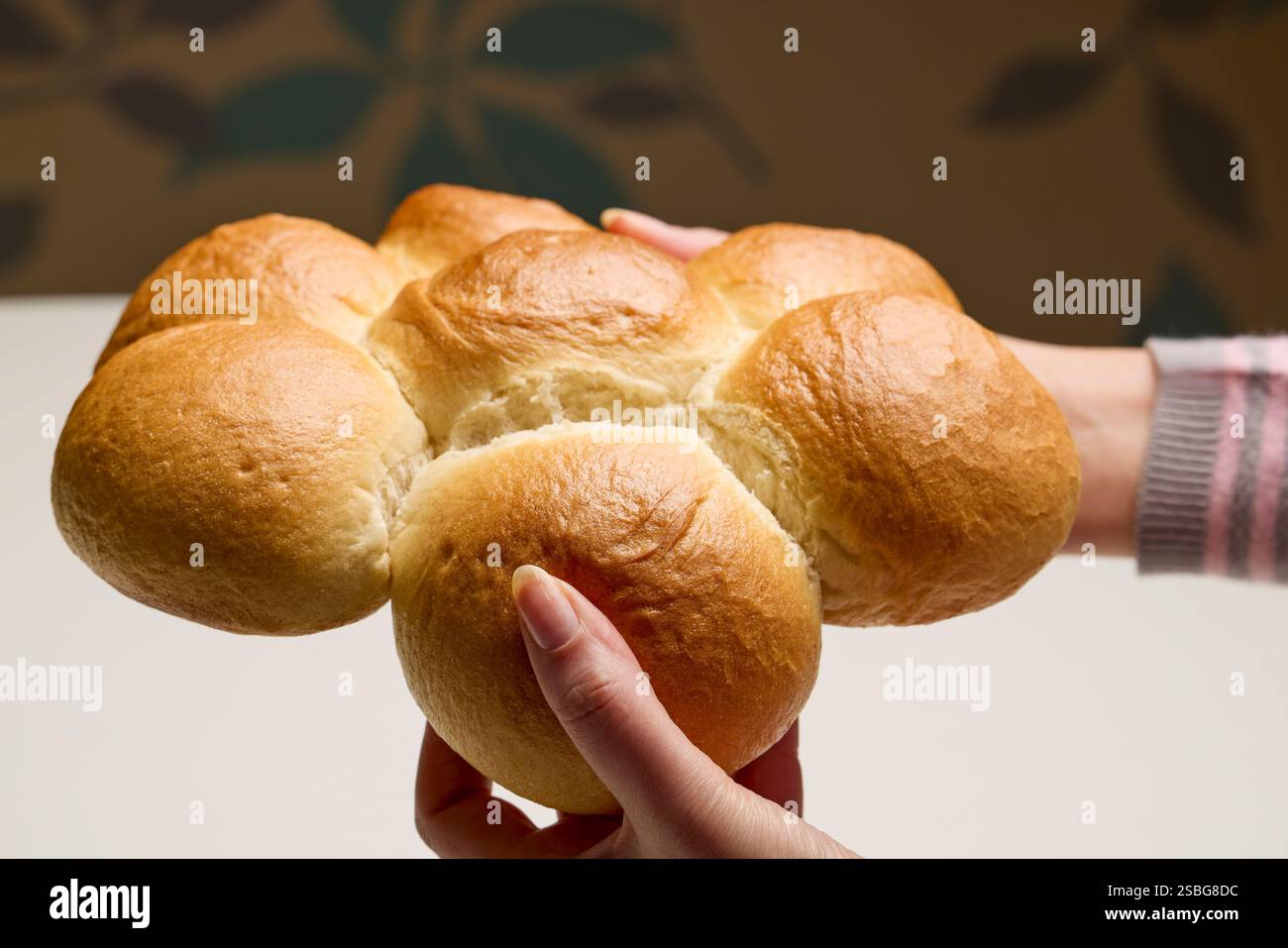 woman's hands breaking a white loaf of bread Stock Photo - Alamy