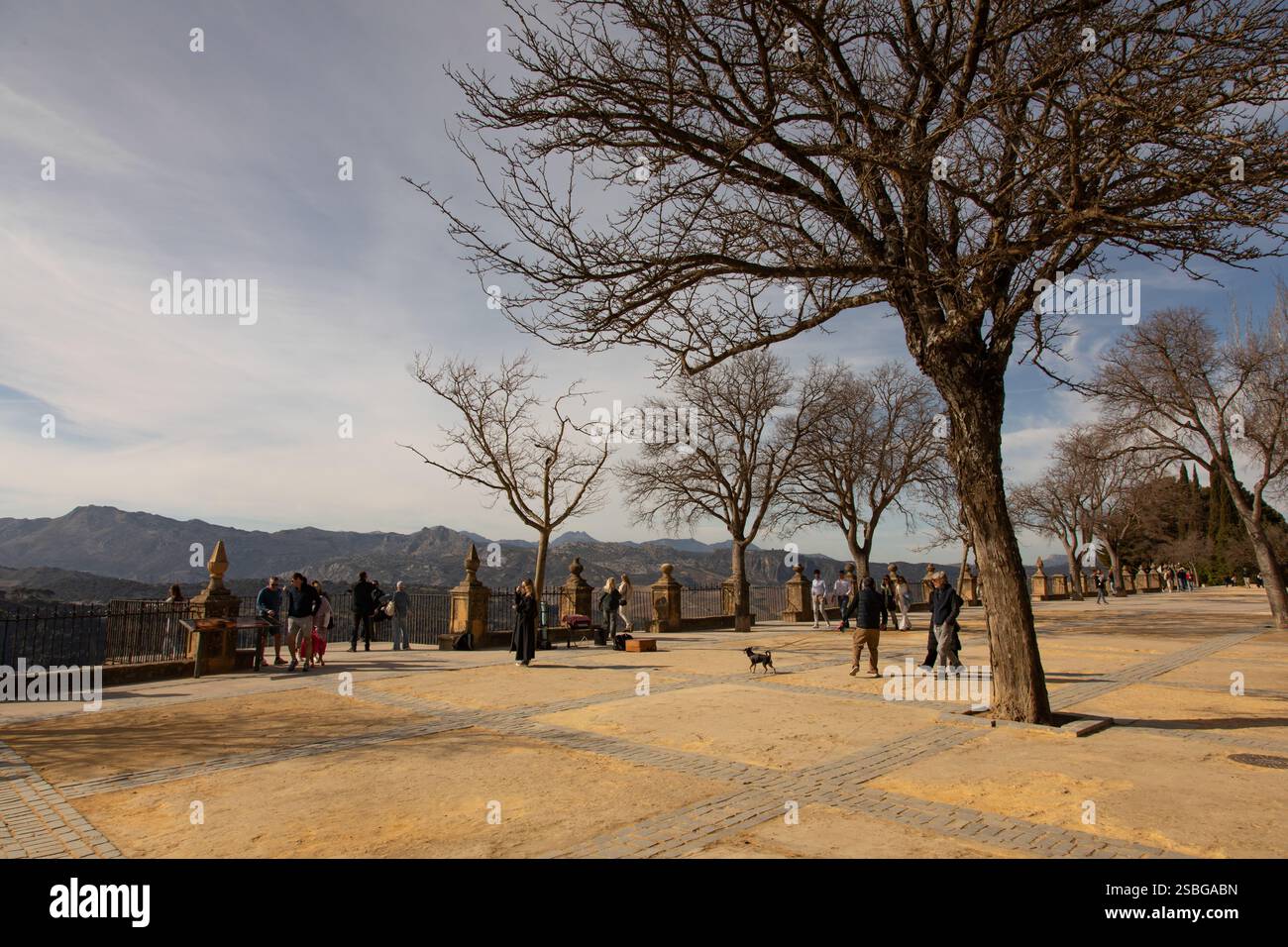 Ronda, Andalucia, Spain - 03-01-2025: Ronda, perched on dramatic cliffs, is a historic city ...