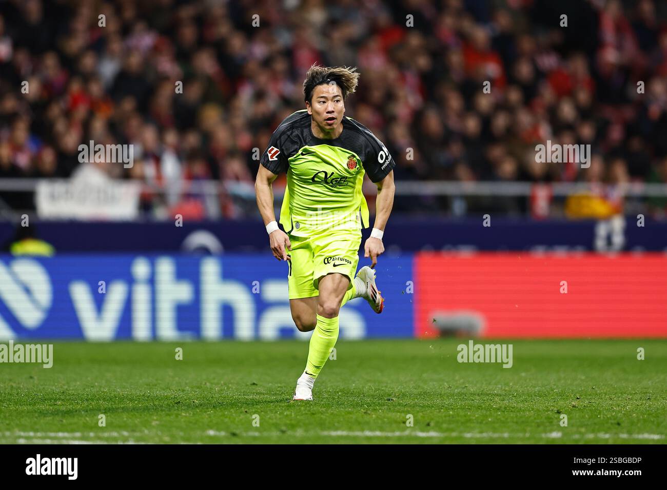 Takuma Asano (Mallorca), FEBRUARY 1, 2025 - Football / Soccer : Spanish ...