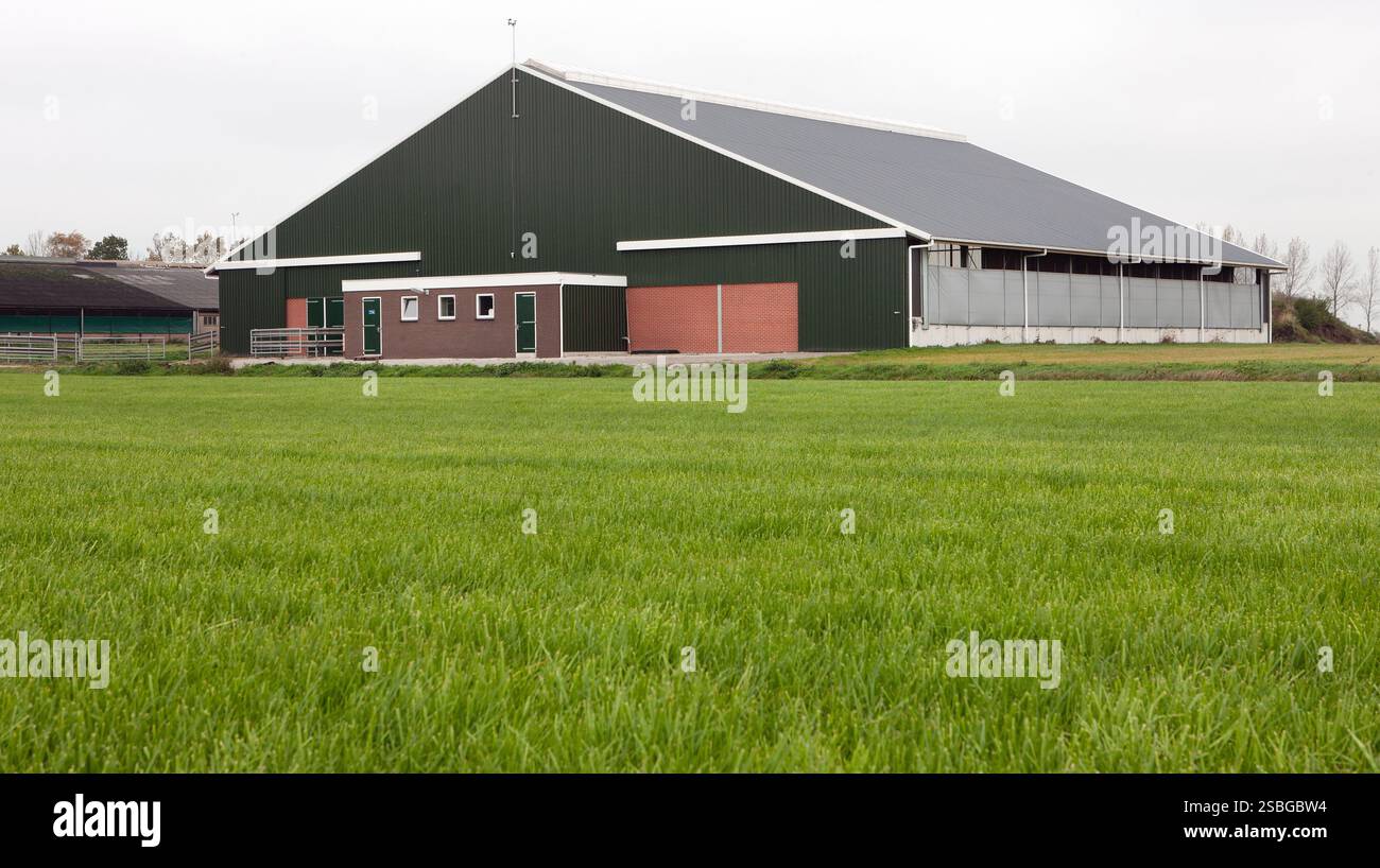 Modern Dutch cattle stable in landscape at the countryside Stock Photo ...