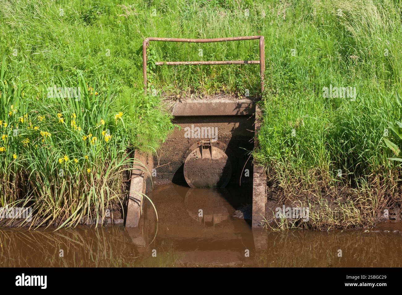 Channel opening for drainage at a body of water, Germany Stock Photo ...