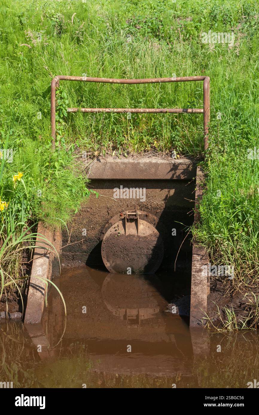 Channel opening for drainage at a body of water, Germany Stock Photo ...