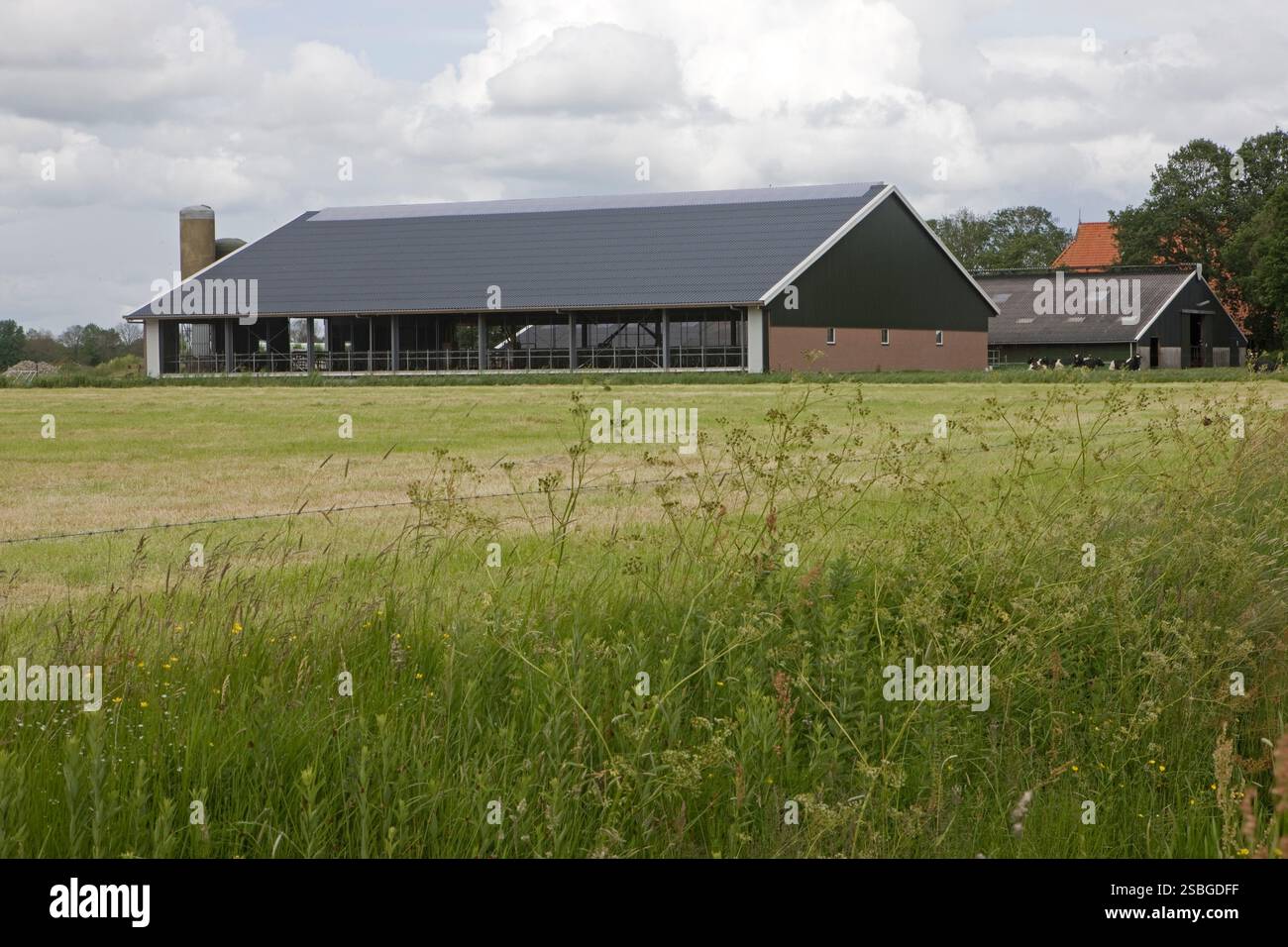New build barn cattle hi-res stock photography and images - Alamy