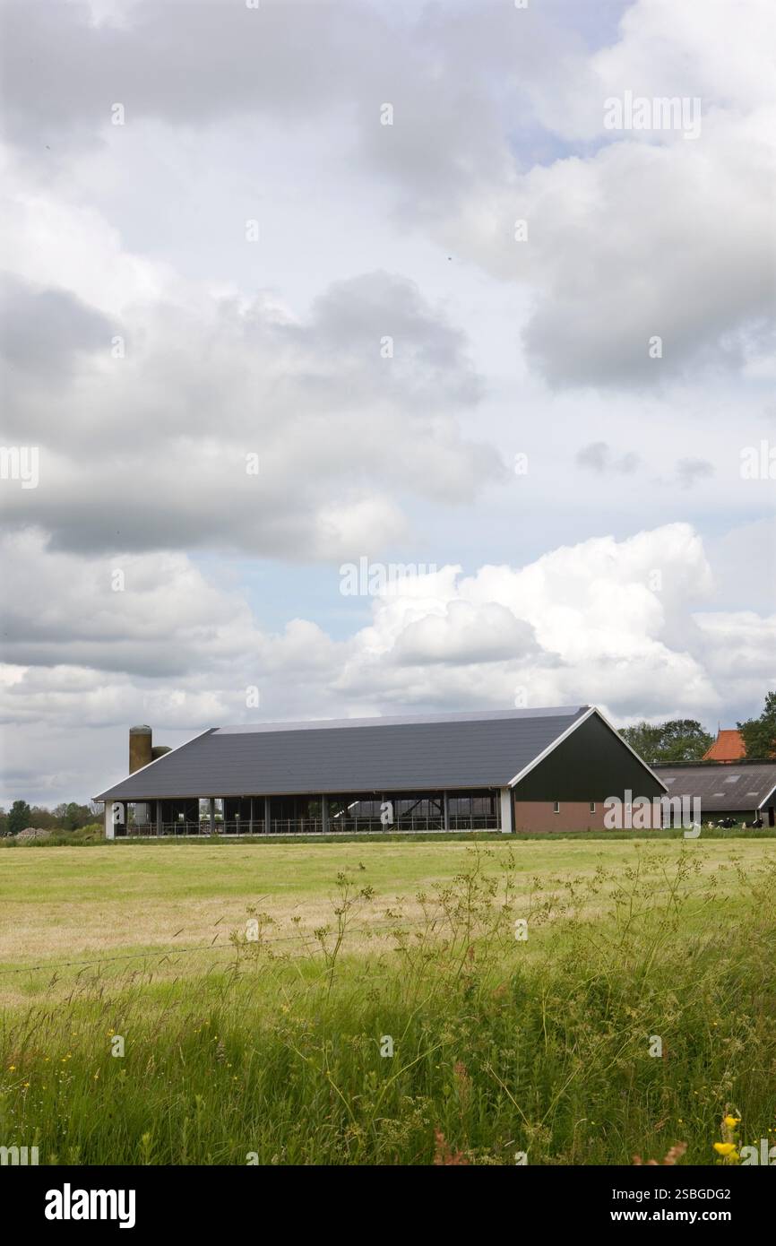 New build barn cattle hi-res stock photography and images - Alamy