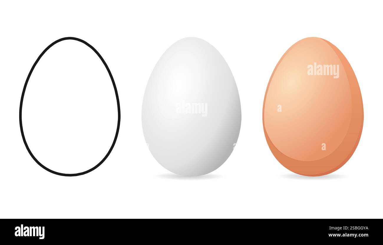 Brown chicken eggs on Stock Vector Images - Alamy