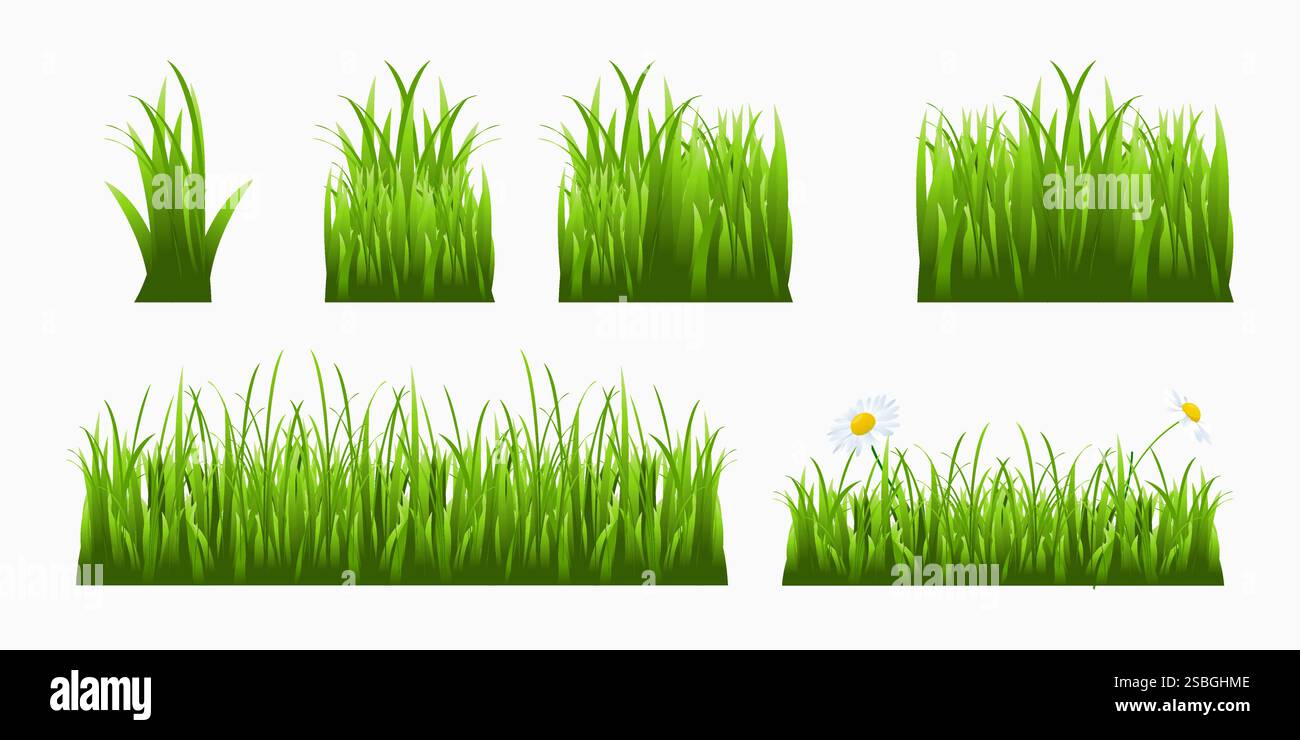Fragments of green grass. Set of clumps of grass Stock Vector Image ...