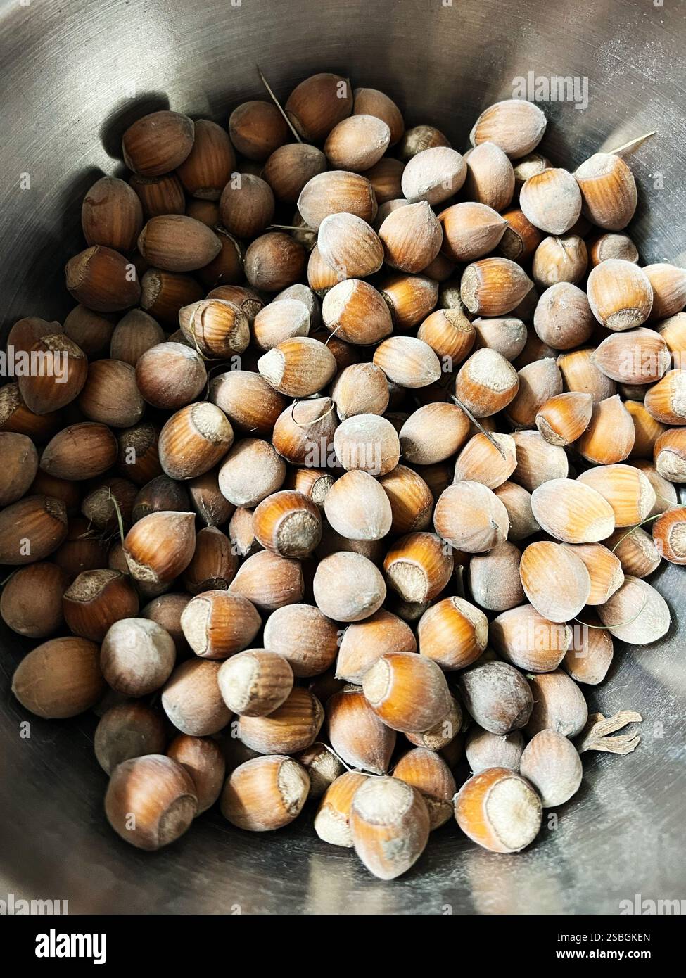 Unshelled hazelnuts placed in a metallic bowl, showcasing their natural ...