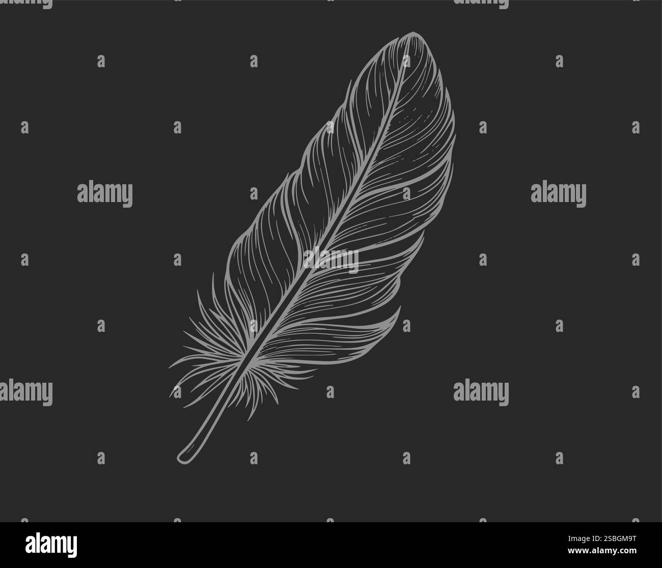 A detailed black and white illustration of a single feather featuring ...