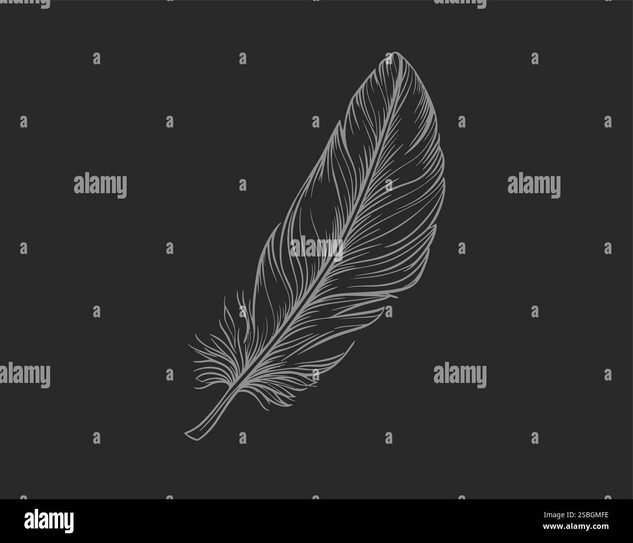 A detailed black and white illustration of a single feather featuring ...