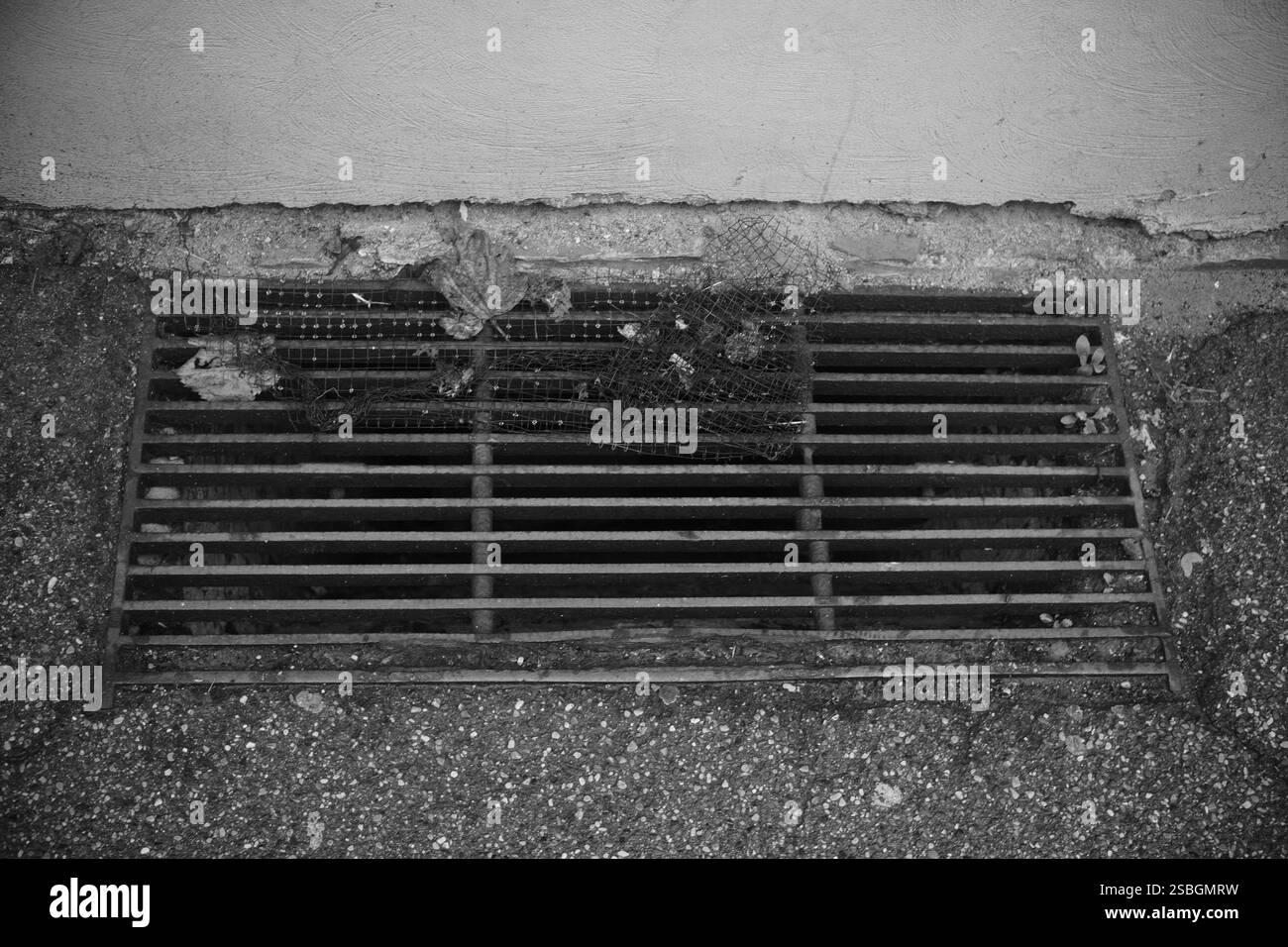 A weathered metal grate sits flush with the ground, debris and remnants ...