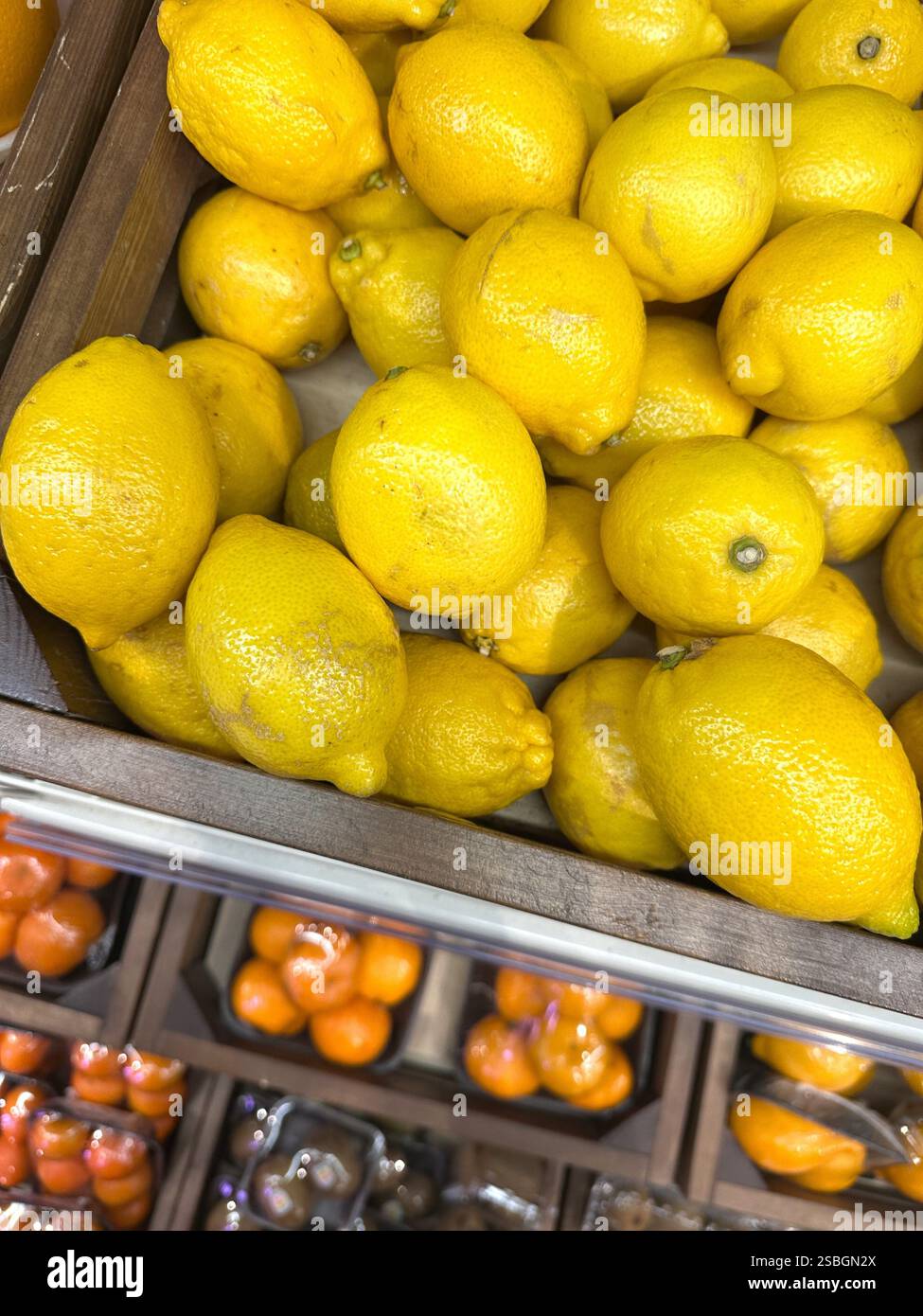 Colorful yellow lemons CITRUS LIMON and some tangerines blurred, on the ...