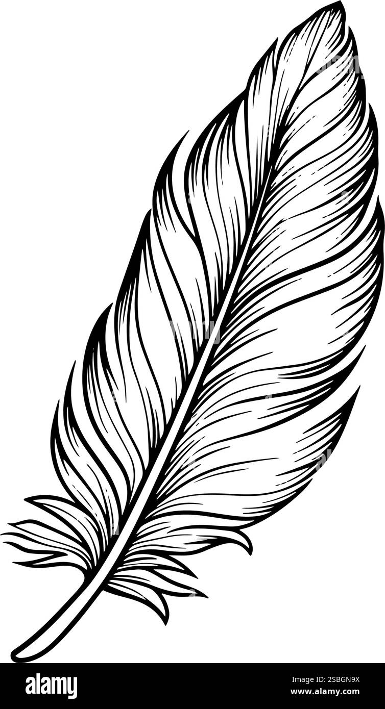 A detailed black and white illustration of a single feather featuring ...