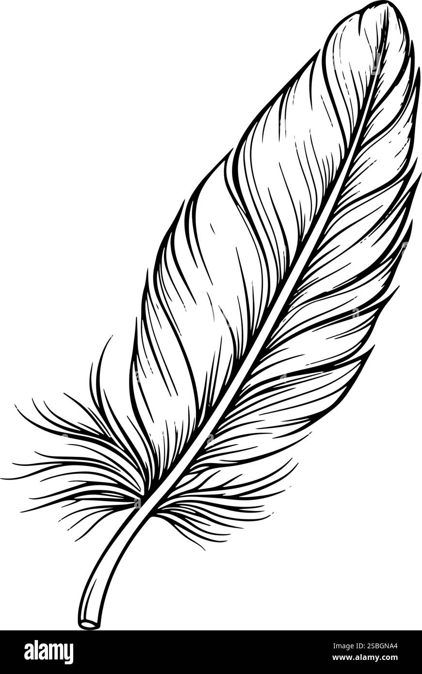 A detailed black and white illustration of a single feather featuring ...