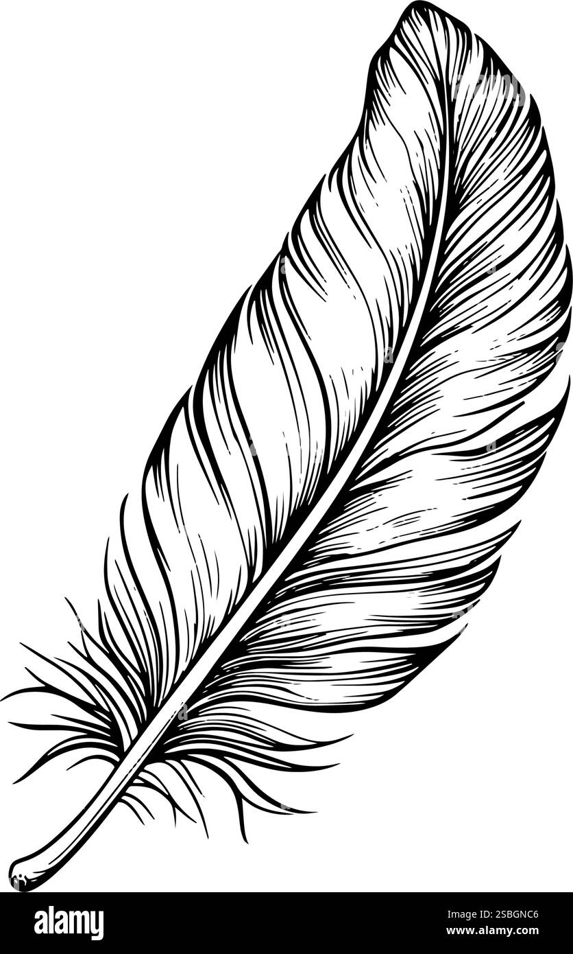 A detailed black and white illustration of a single feather featuring ...